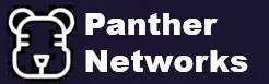 IT Services for Small Businesses | Panther Networks UK